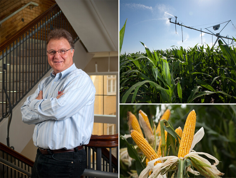 Research shows benefits of irrigated corn offset energy costs ...